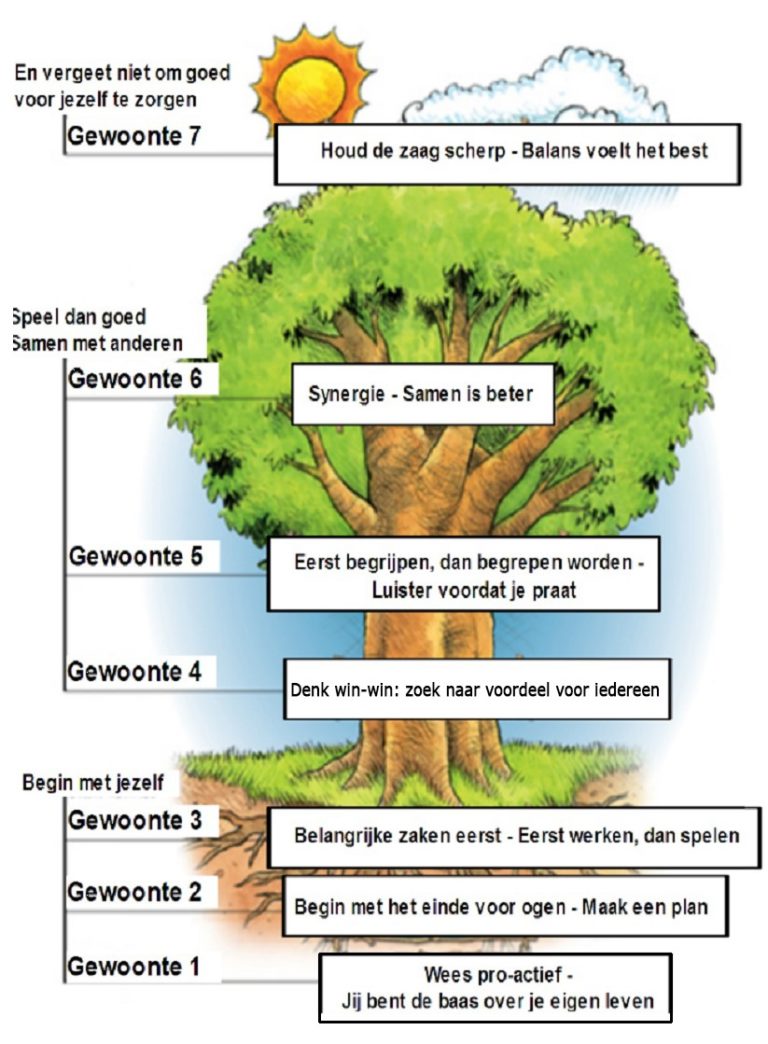 De zeven gewoonten | Singel